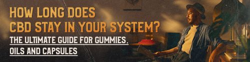 How Long Does CBD Stay in Your System? | Hemp Bombs®